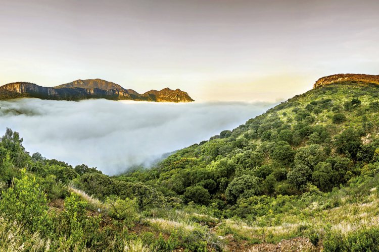Calvillo, Aguascalientes: Un Encanto Pintoresco - MexicoTrip - Viaja ...