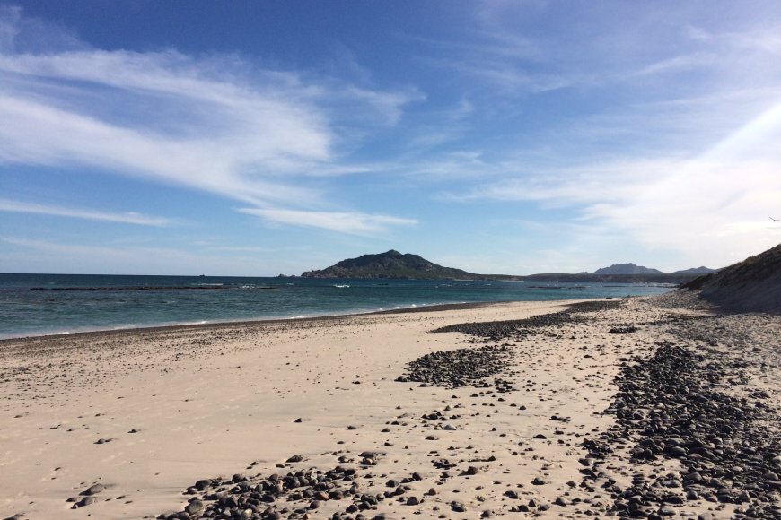 Cosas para hacer en La Ribera, Baja California Sur - MexicoTrip - Viaja ...